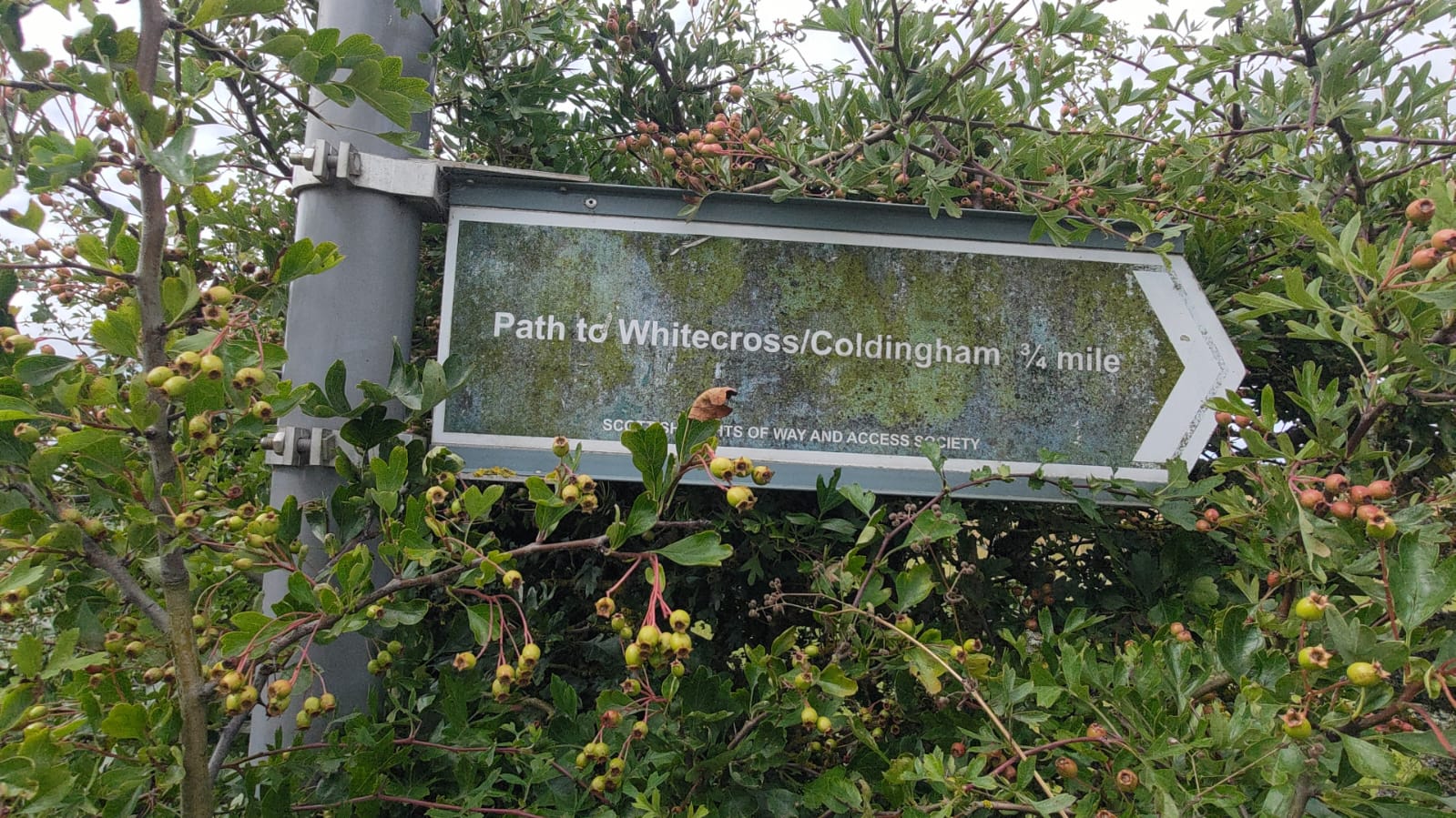 Support repair of signs at Whitfield, Scottish Borders | ScotWays