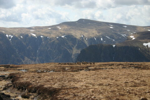 The Natural Environment (Scotland) Bill and What It Means for Outdoor ...